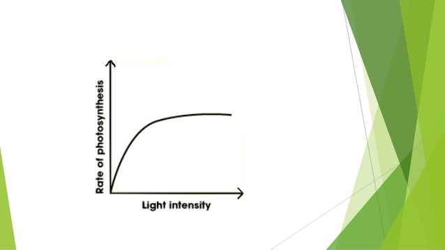 Understanding photosynthesis graphs