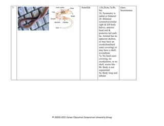 Understanding phyla dichotomous key steps and classification part 1 | DOC