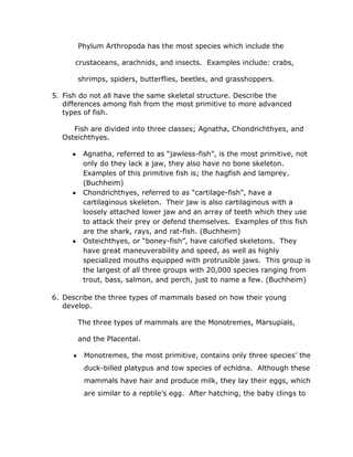Understanding phyla dichotomous key steps and classification part 2 | DOCX