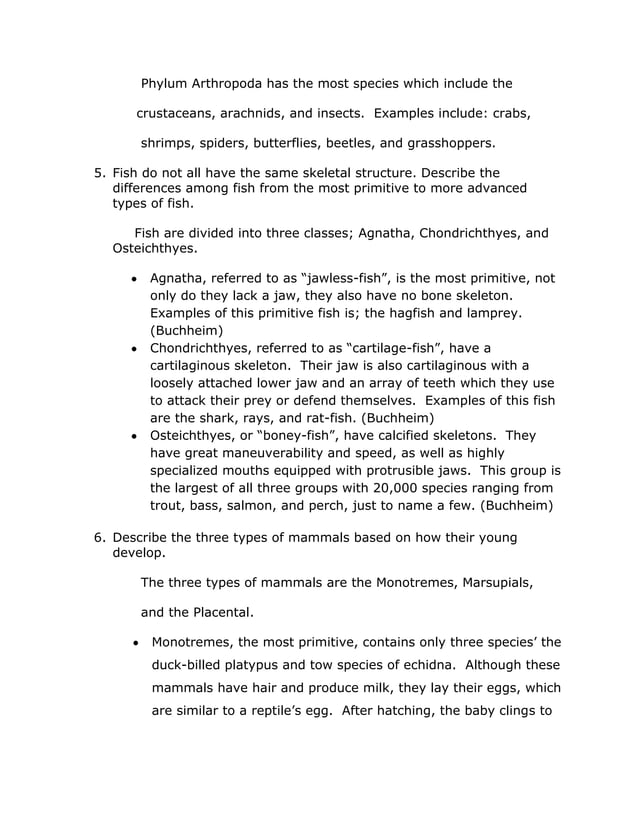 Understanding phyla dichotomous key steps and classification part 2 | PDF