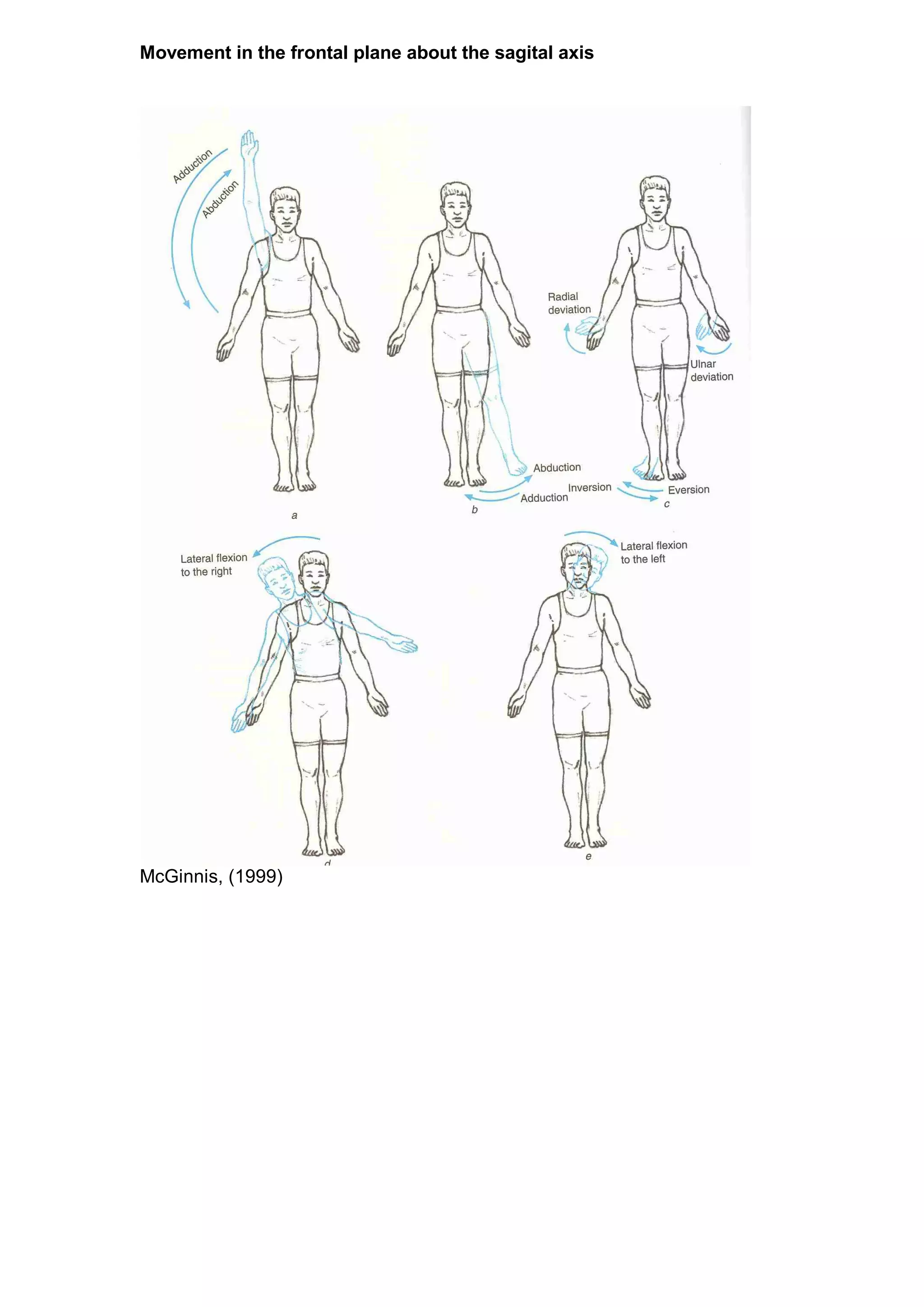 Understanding planes and axes of movement | PDF
