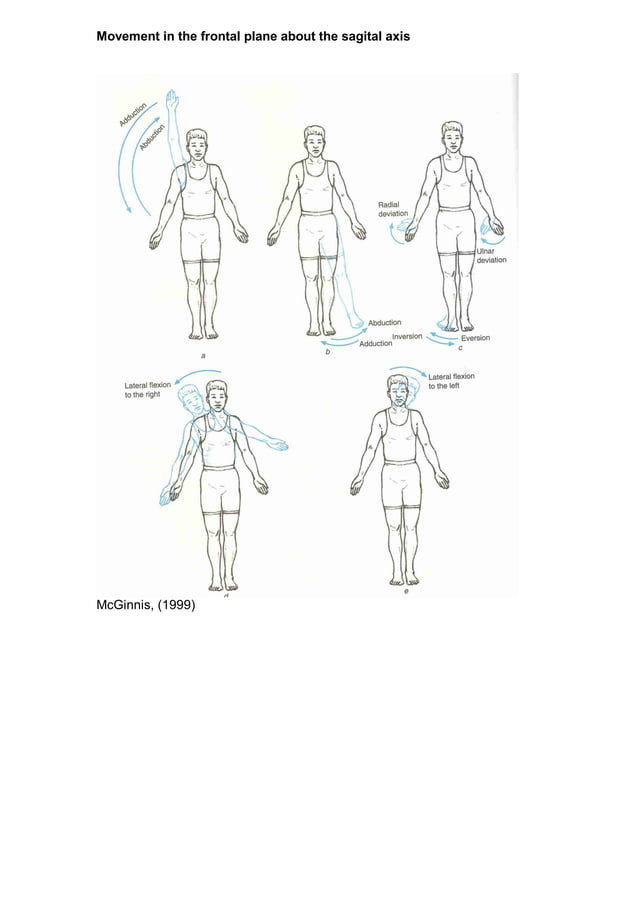 Understanding planes and axes of movement | PDF