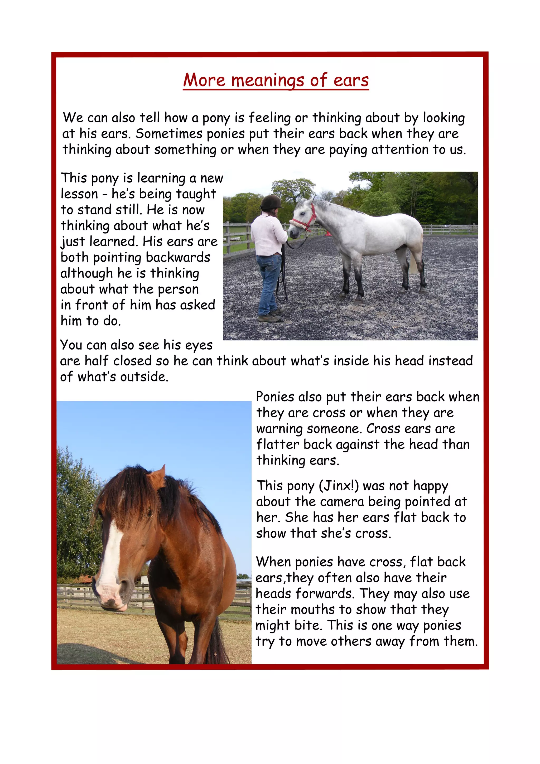 Understanding ponies | PDF