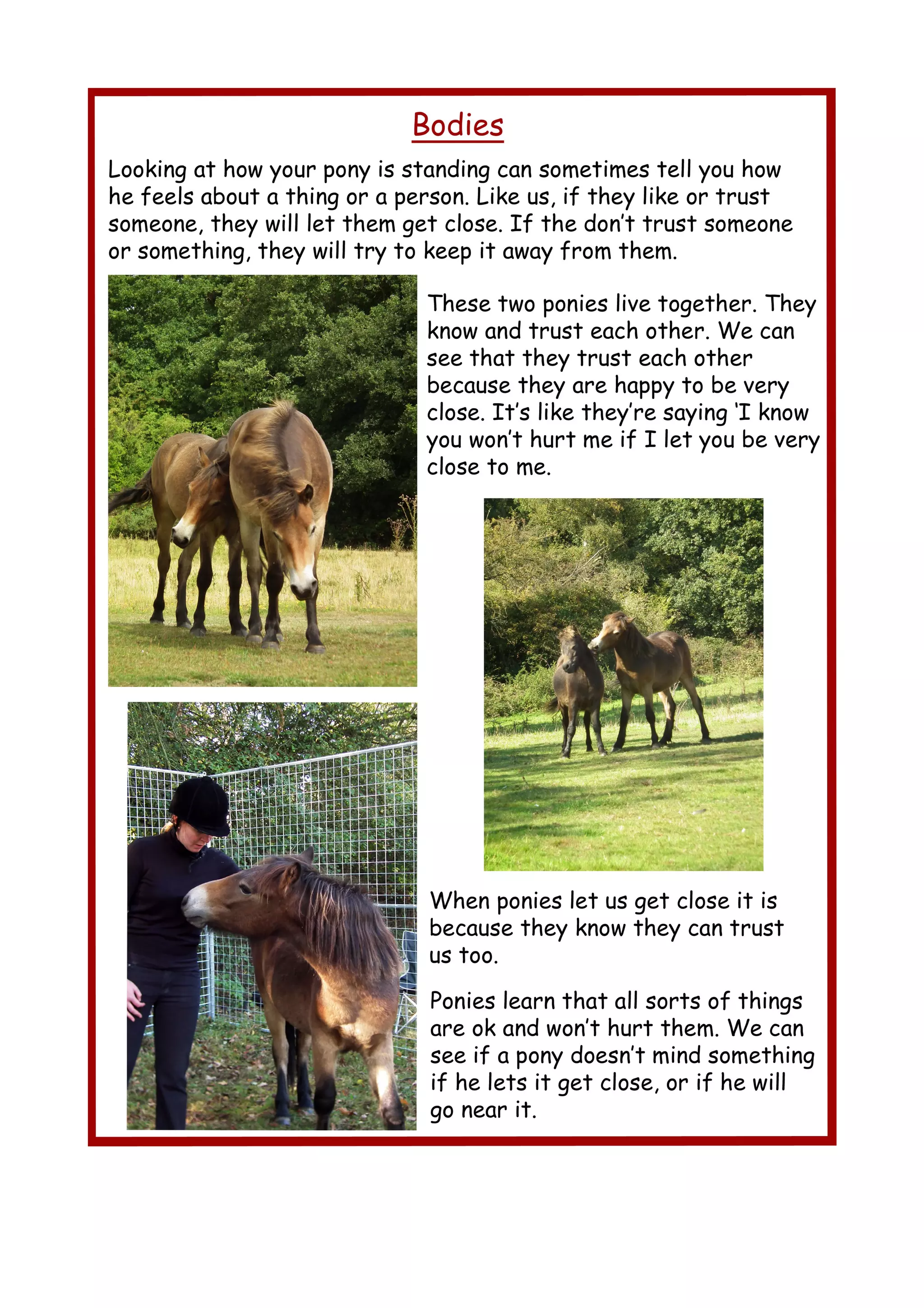 Understanding ponies | PDF