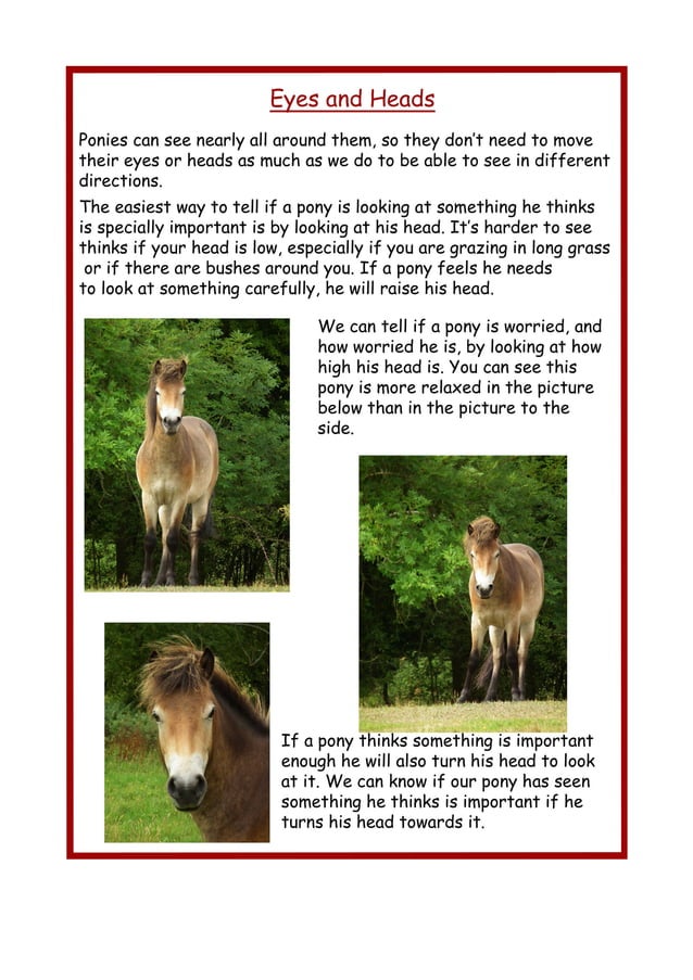 Understanding ponies | PDF