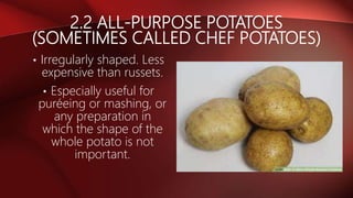 Understanding potatoes grade 10 | PPTX | Cooking | Food & Drink