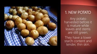 Understanding potatoes grade 10 | PPTX | Cooking | Food & Drink