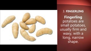 Understanding potatoes grade 10 | PPTX | Cooking | Food & Drink