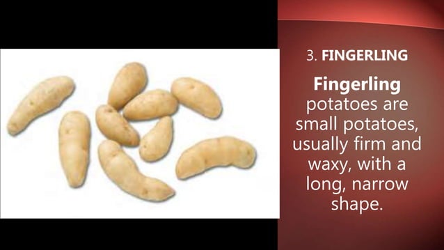 Understanding potatoes grade 10 | PPT