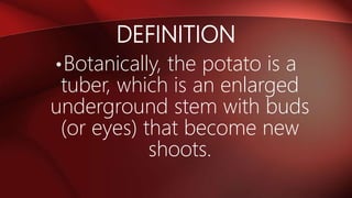 Understanding potatoes grade 10 | PPTX