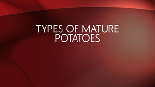 Understanding potatoes grade 10 | PPTX | Cooking | Food & Drink