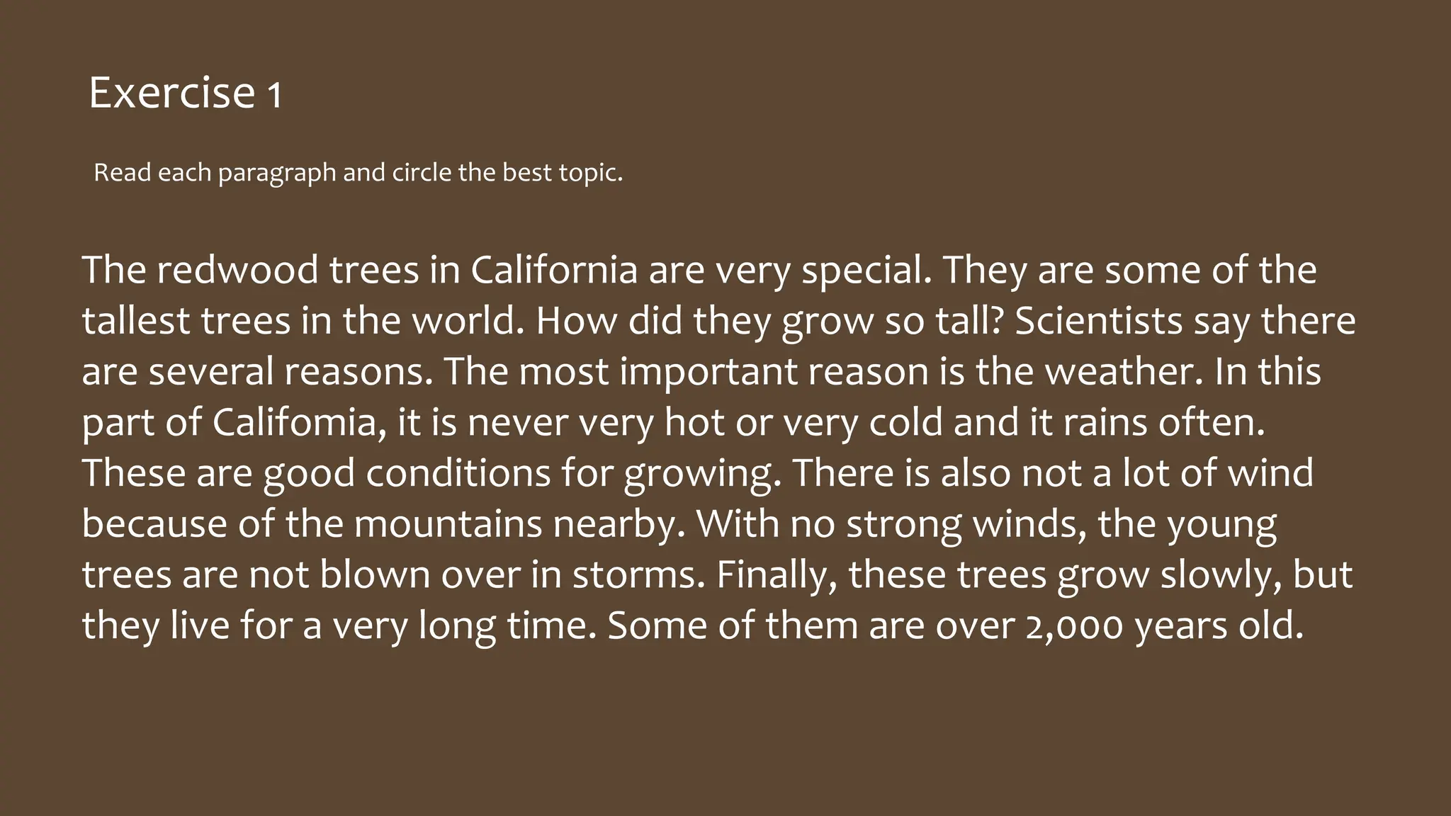 Understanding English Paragraphs | PPTX