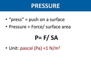 Understanding pressure | PPTX