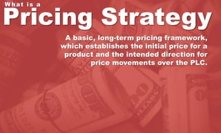 Understanding Pricing | PDF