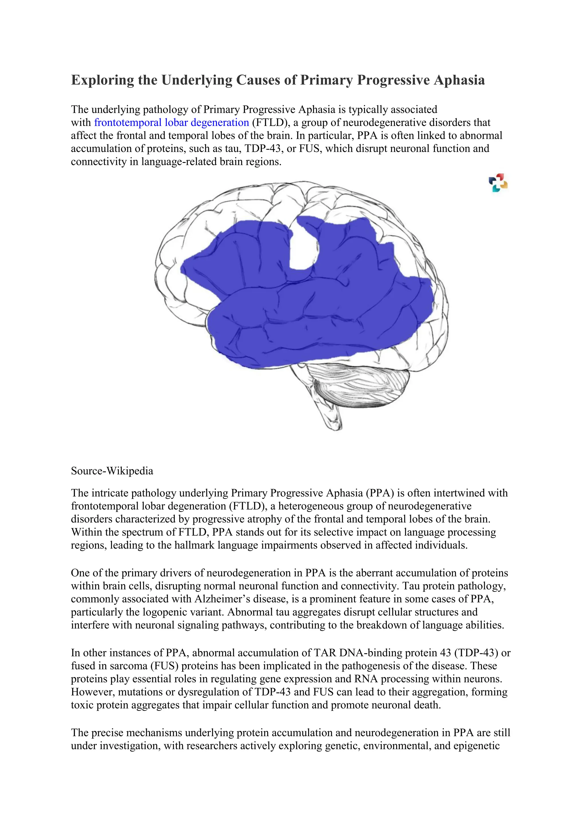 Primary Progressive Aphasia: Symptoms, Causes, and Management | The ...