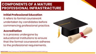 Lesson 3 - Understanding Professional Ethics.pdf