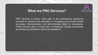 Understanding PRO Services in Dubai: Procedures and Benefits | PPTX