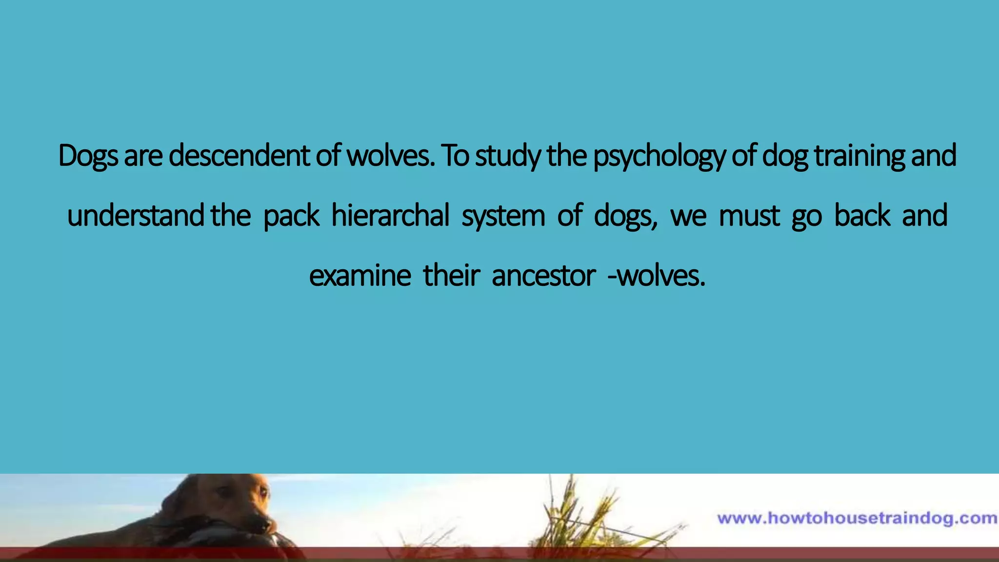 Understanding psychology of dog training | PPTX