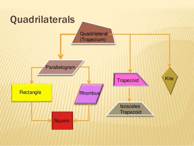 Understanding quadrilaterals chapter3 grade 8 cbse