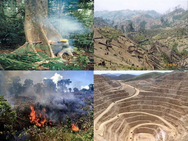 Understanding ra 10121 | PPTX | Civil Engineering Industry | Industries