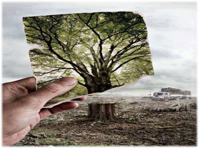 Understanding ra 10121 | PPTX | Civil Engineering Industry | Industries