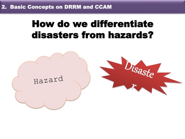 Understanding ra 10121 | PPTX | Civil Engineering Industry | Industries