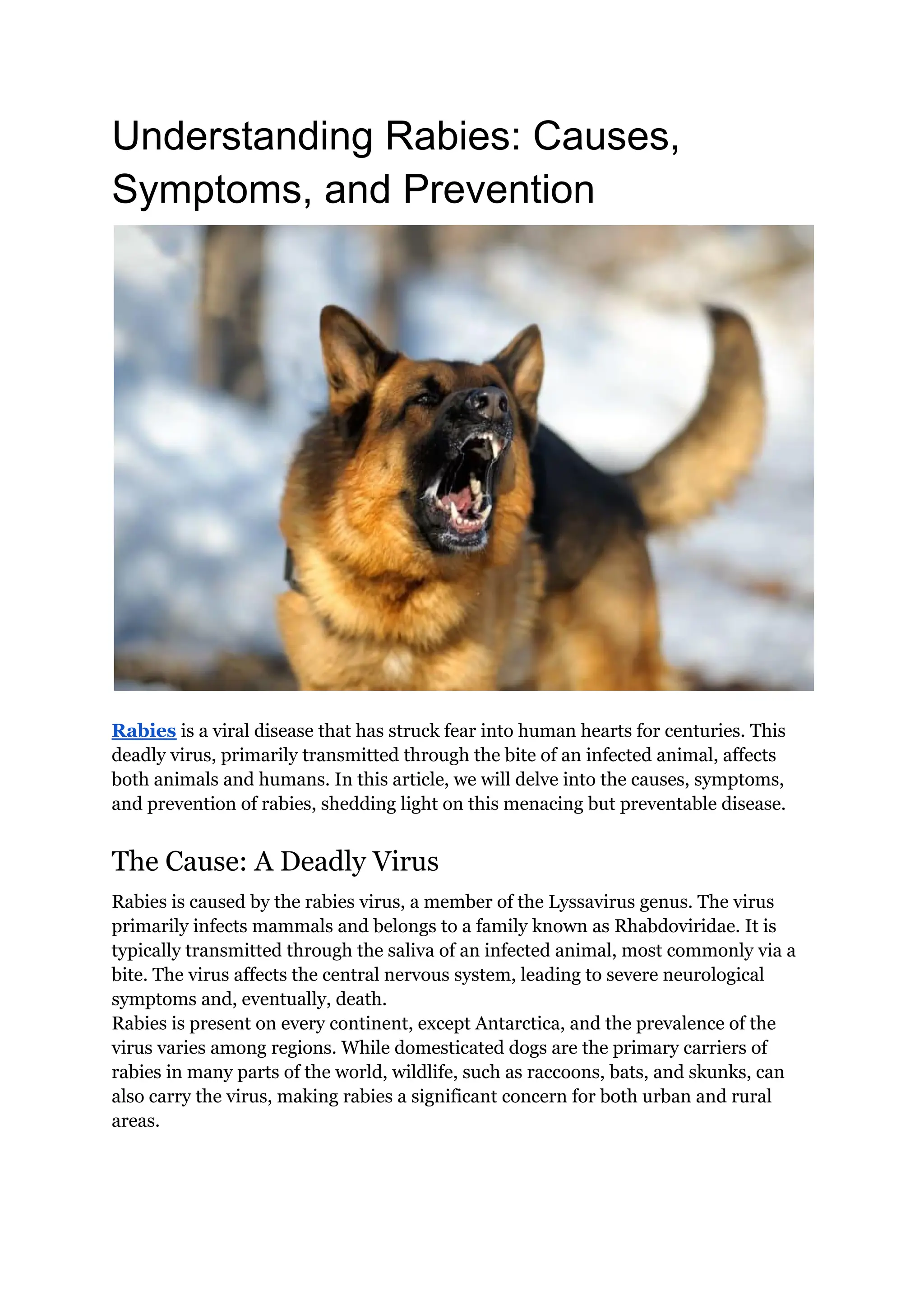 Understanding Rabies: Causes, Symptoms, and Prevention | PDF