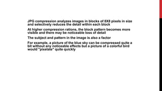 Understanding Raster Graphics | PPT