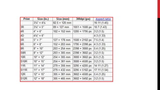 Understanding Raster Graphics | PPT