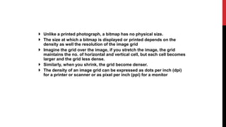 Understanding Raster Graphics | PPT