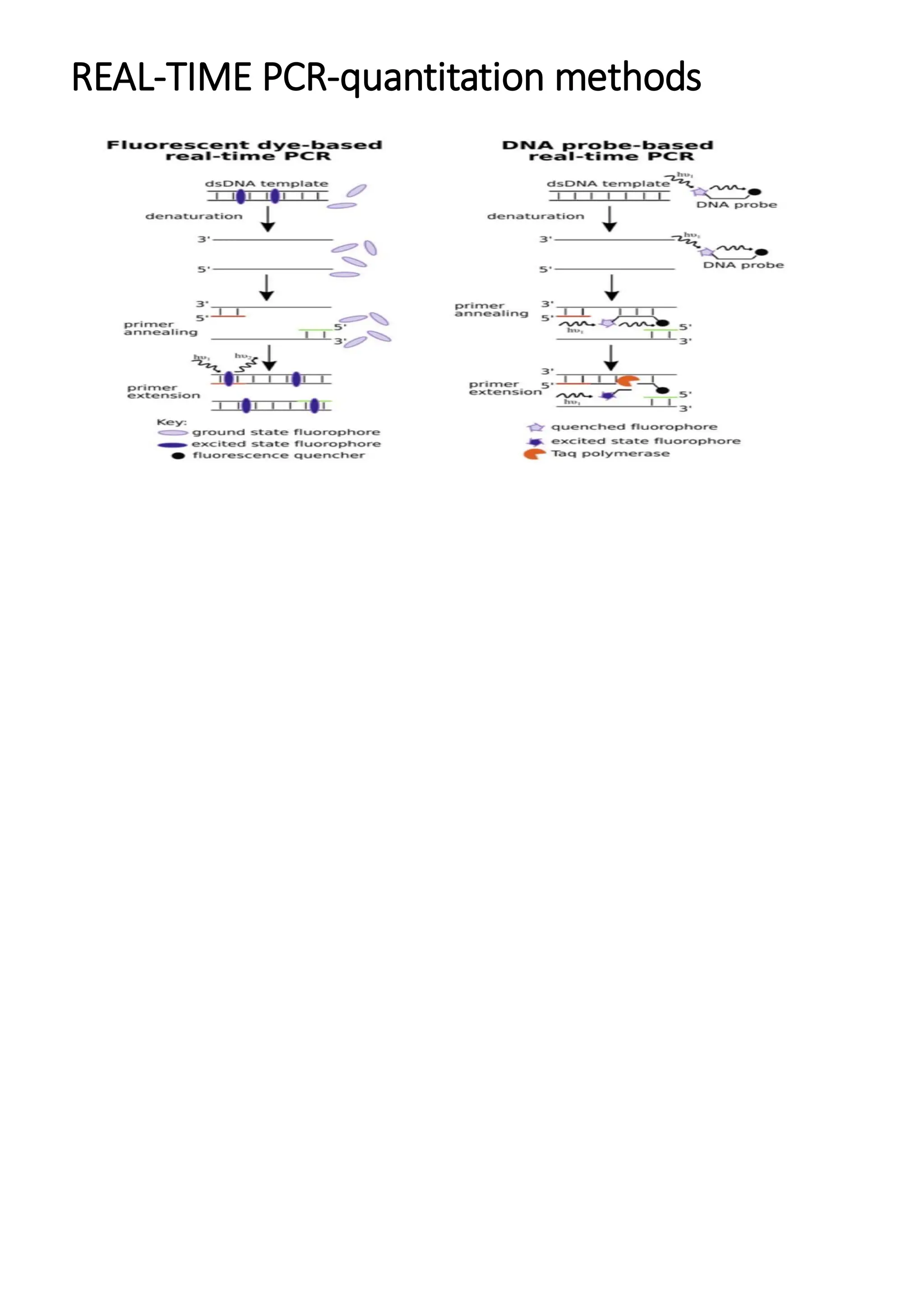 understanding realtime PCR digest with explanation of Ct.pdf