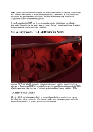 Red Cell Distribution Width: Importance, Interpretation, and Clinical ...