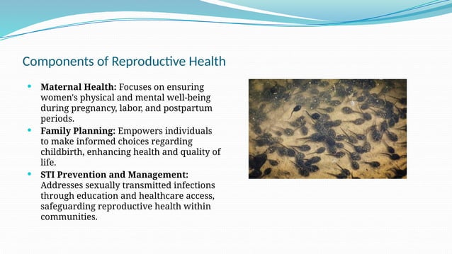 Understanding Reproductive & Child Health.pptx