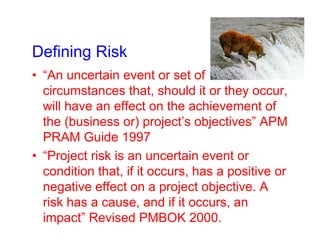 Understanding Risk Before You Start Managing It 2 Richard Newey | PDF