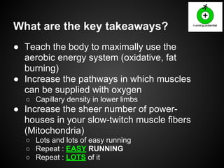 Understanding Running Physiology | PDF