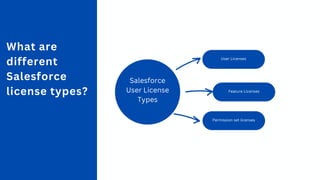 Understanding Salesforce License Types for optimization and cost ...