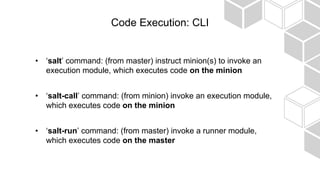 Understanding salt modular sub-systems and customization | PDF