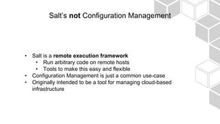Understanding salt modular sub-systems and customization | PDF