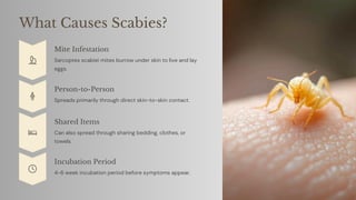 Understanding Scabies Causes, Symptoms, and Treatments..pdf