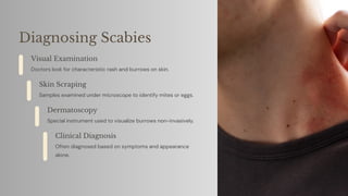 Understanding Scabies Causes, Symptoms, and Treatments..pdf