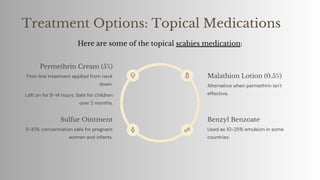 Understanding Scabies Causes, Symptoms, and Treatments..pdf