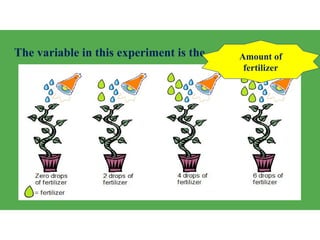 Understanding Science.pptx grade 6 integrated science | PPTX