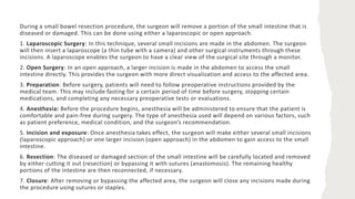Understanding Small Bowel Resection.pdf