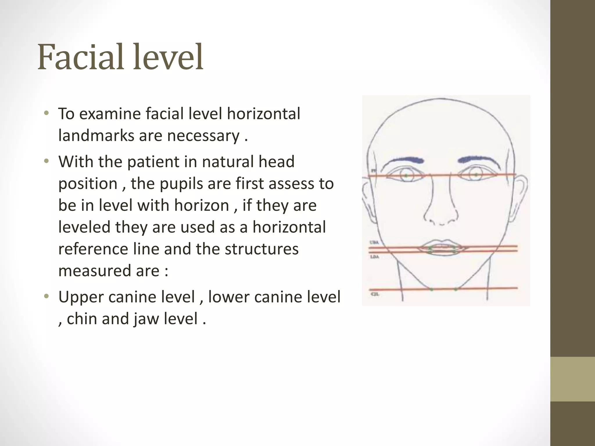 Understanding soft tissues | PPTX