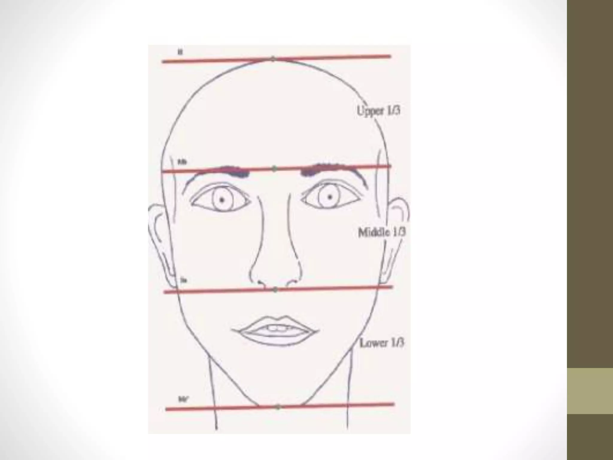 Understanding soft tissues | PPTX