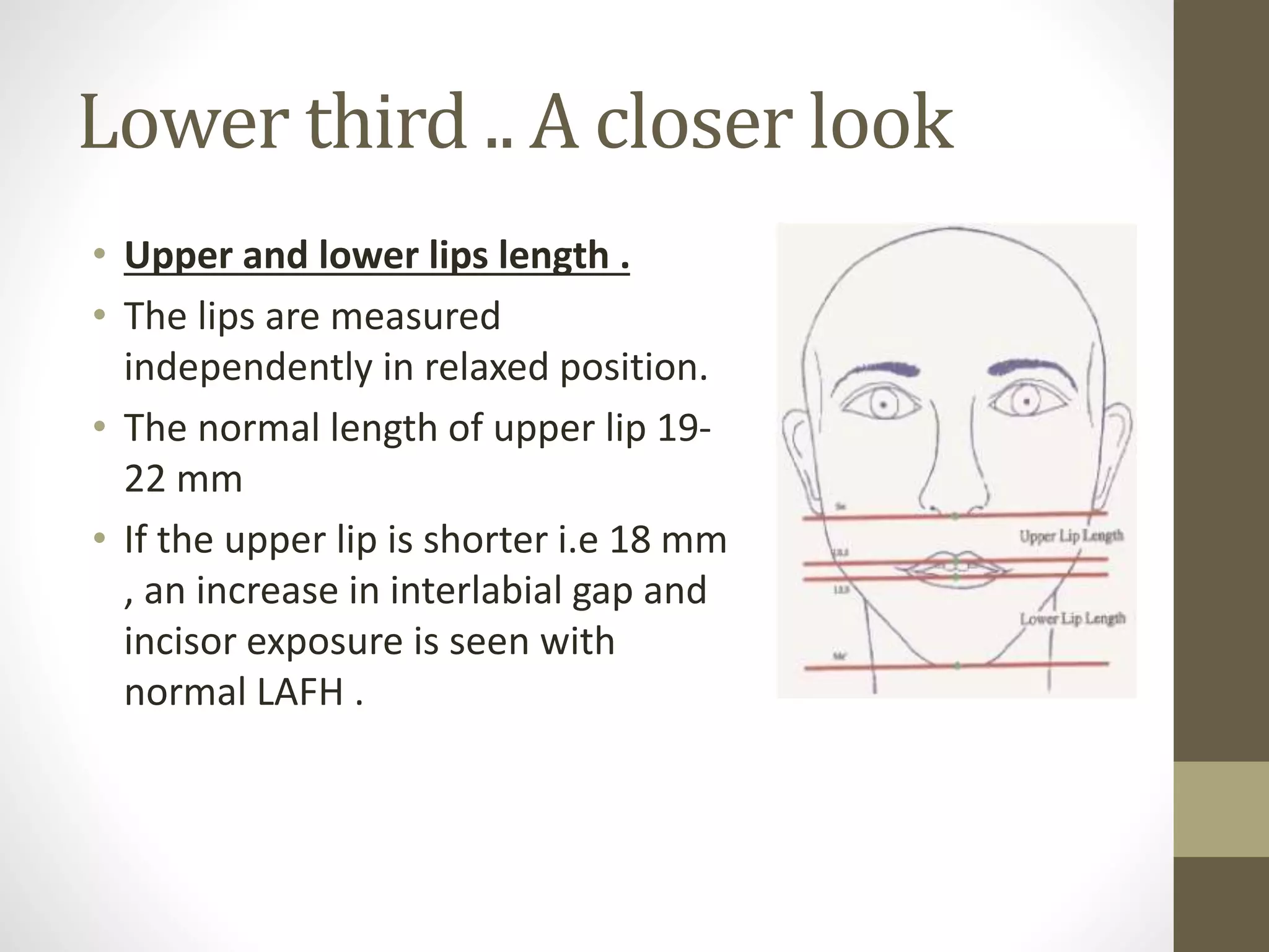 Understanding soft tissues | PPTX