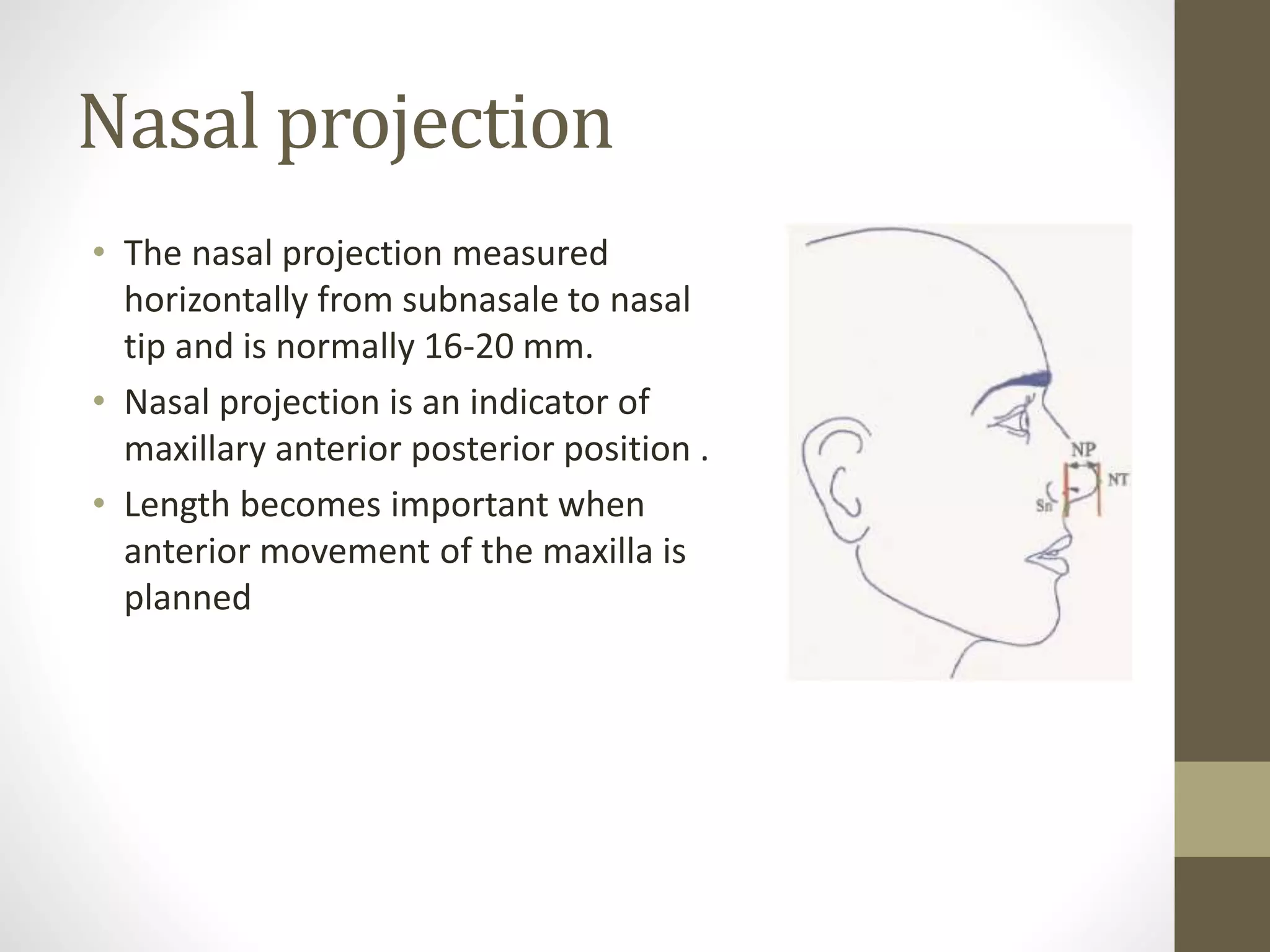 Understanding soft tissues | PPTX