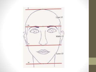 Understanding soft tissues | PPT