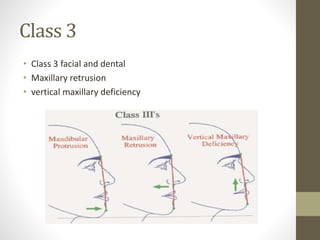 Understanding soft tissues | PPT
