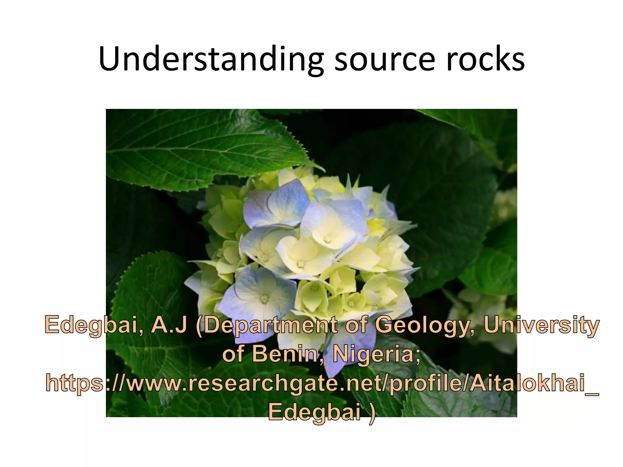Understanding source rocks | PPTX | Science